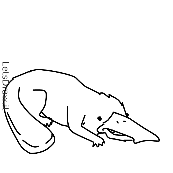 How to draw platypus / akb6pi5wo.png / LetsDrawIt