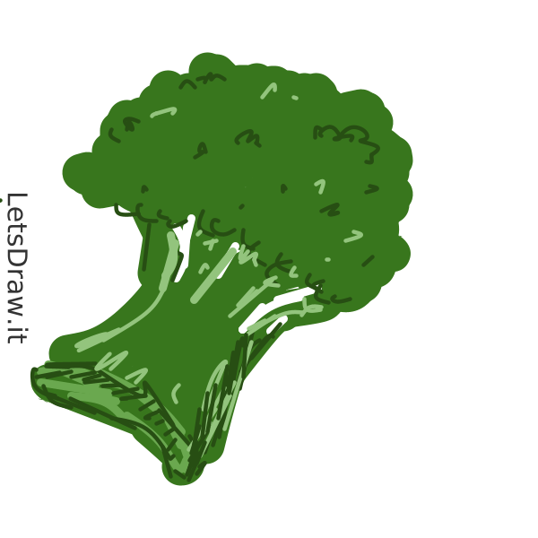 How to draw broccoli / ake6dffab.png / LetsDrawIt