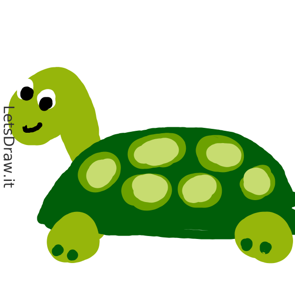 How to draw turtle / an7dx5ick.png / LetsDrawIt