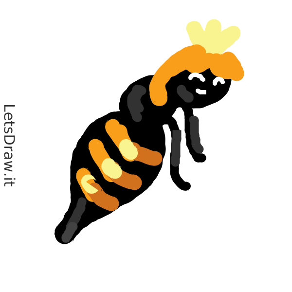 How to draw queen bee / anmuo9qm3.png / LetsDrawIt