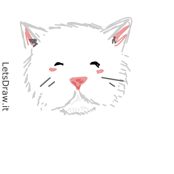 How to draw cat / anxp8inti.png / LetsDrawIt