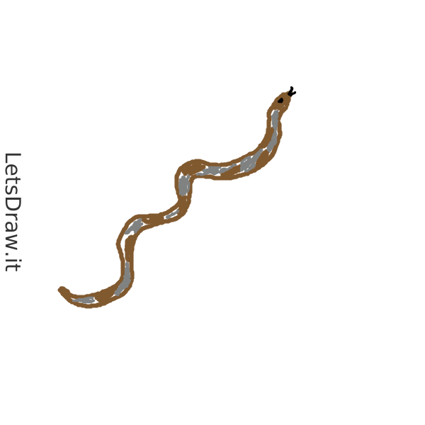 How to draw grass snake / apefqi69d.png / LetsDrawIt