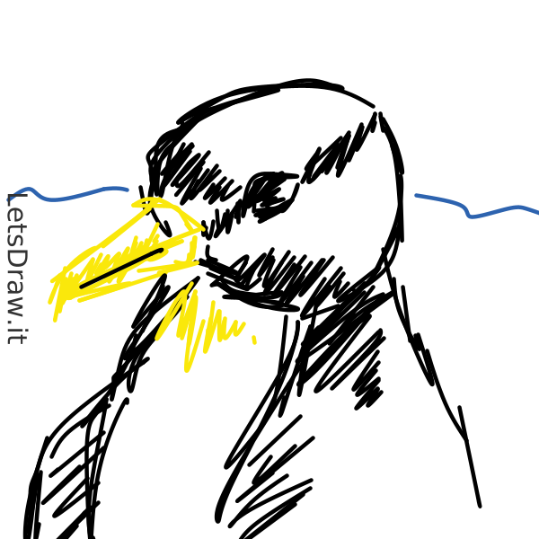 How to draw penguin / arnfdemfx.png / LetsDrawIt
