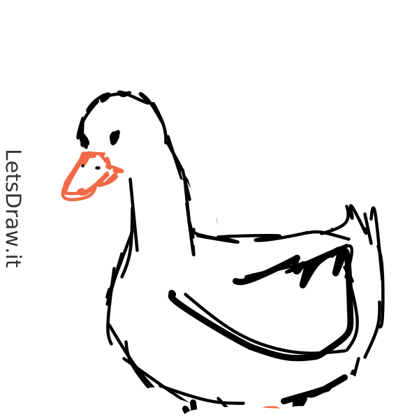 How to draw goose / LetsDrawIt