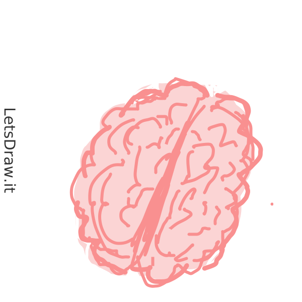 How to draw brain / as47o6sg5.png / LetsDrawIt