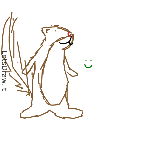 How to draw squirrel / as6mniukt.png / LetsDrawIt