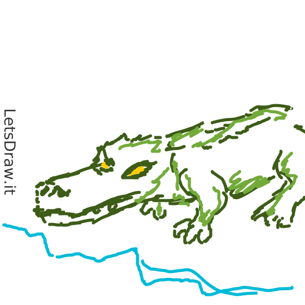 How to draw alligator / b8pqtgdy1.png / LetsDrawIt