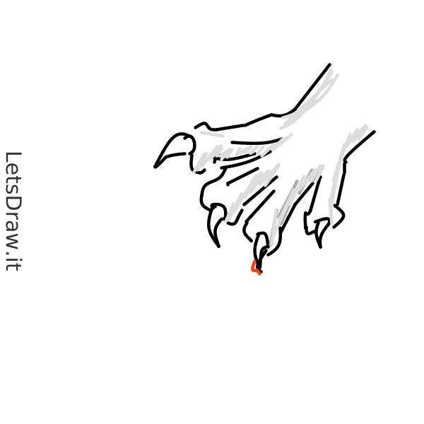 How to draw claw / bg5sptey4.png / LetsDrawIt