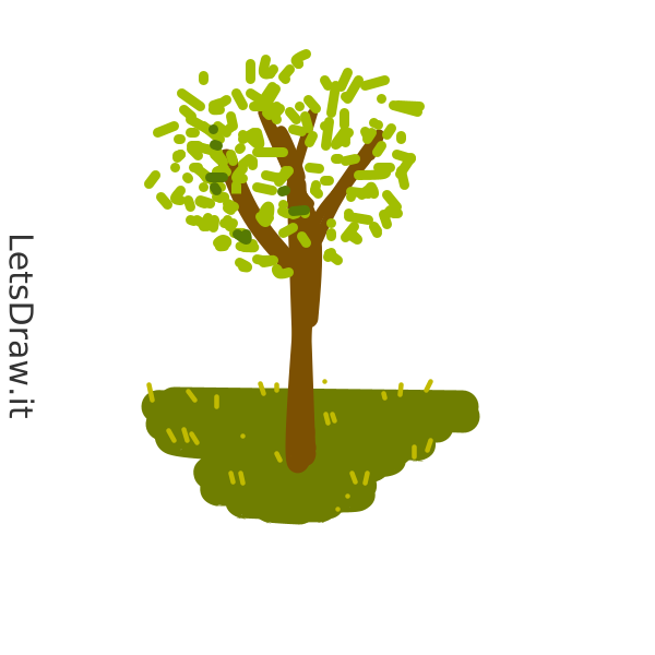 How to draw trees / bnd5krpbd.png / LetsDrawIt