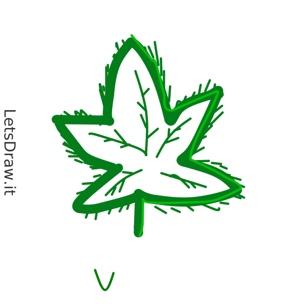 How to draw Cannabis / bowhm9dmf.png / LetsDrawIt