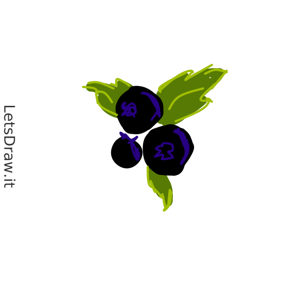 How to draw blackberry / bps6m68oq.png / LetsDrawIt