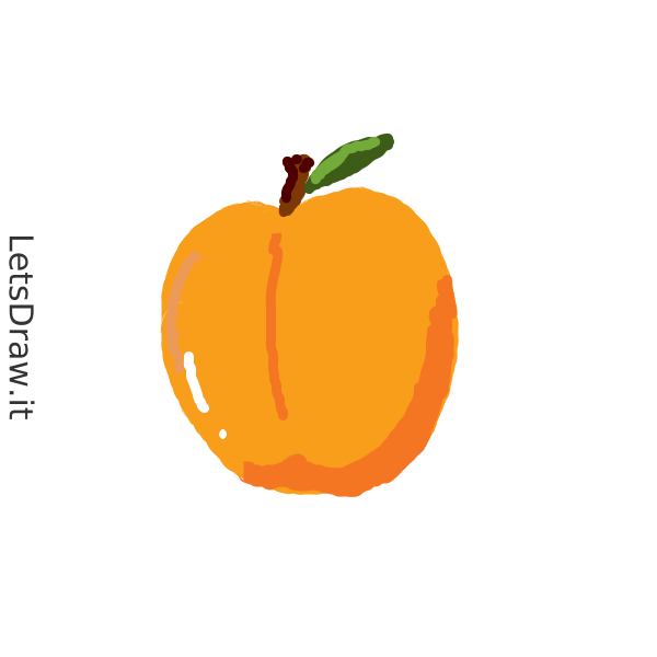 How to draw apricot / brpxtufjp.png / LetsDrawIt