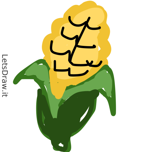 How to draw Corn / btmyg5ebz.png / LetsDrawIt