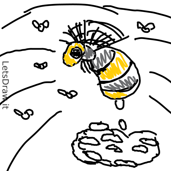 How to draw queen bee / byitq9mtz.png / LetsDrawIt