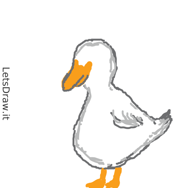 How to draw ducks / c1q3x3utr.png / LetsDrawIt
