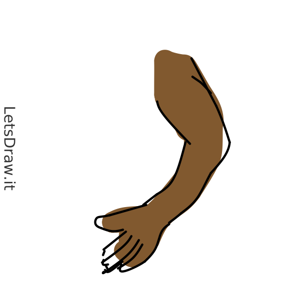 How to draw arm / c1tpfy7x.png / LetsDrawIt