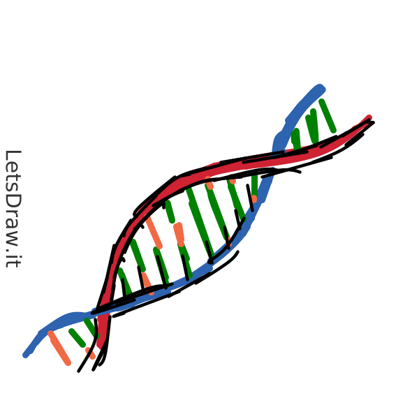 How to draw DNA / c5kdrkeu7.png / LetsDrawIt