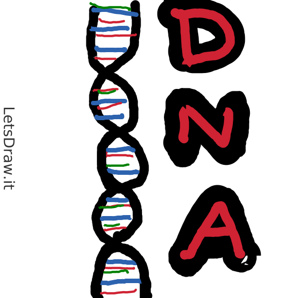How to draw string of DNA / c69jqw6zk.png / LetsDrawIt