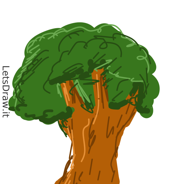 How to draw tree / caofd6639.png / LetsDrawIt