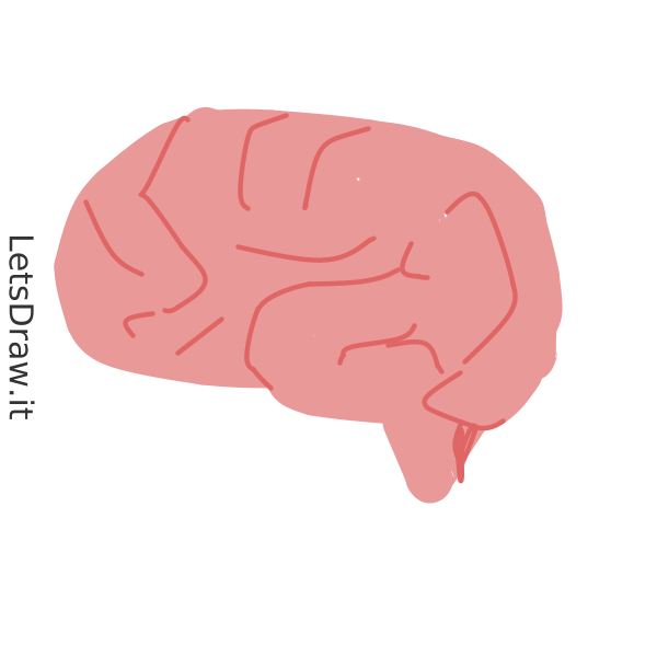 Pink Brain Drawing