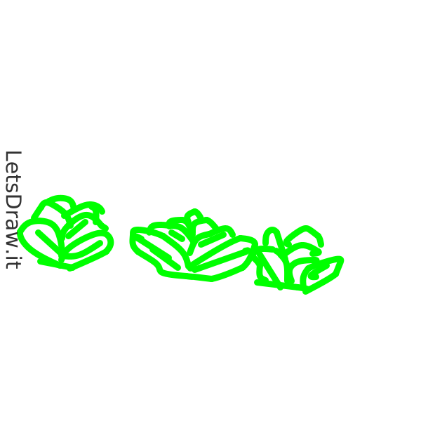 How to draw salad / cf1iejg84.png / LetsDrawIt