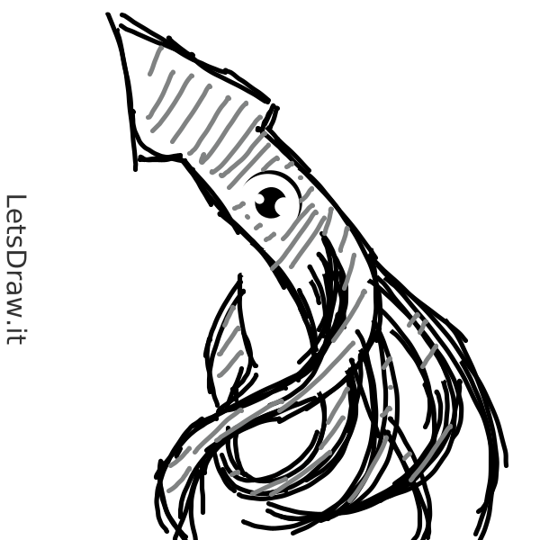 How to draw squid / chqhgf4zj.png / LetsDrawIt