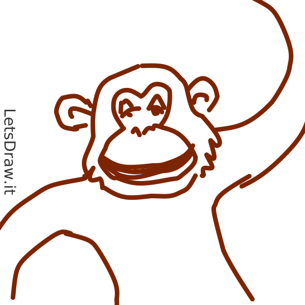 How to draw monkey / cmj9modmg.png / LetsDrawIt