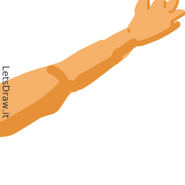 How to draw arm / cszrujix.png / LetsDrawIt
