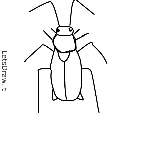 How to draw roach / cupgpwr8x.png / LetsDrawIt