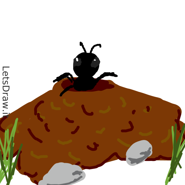How to draw anthill / cykm1t4ua.png / LetsDrawIt