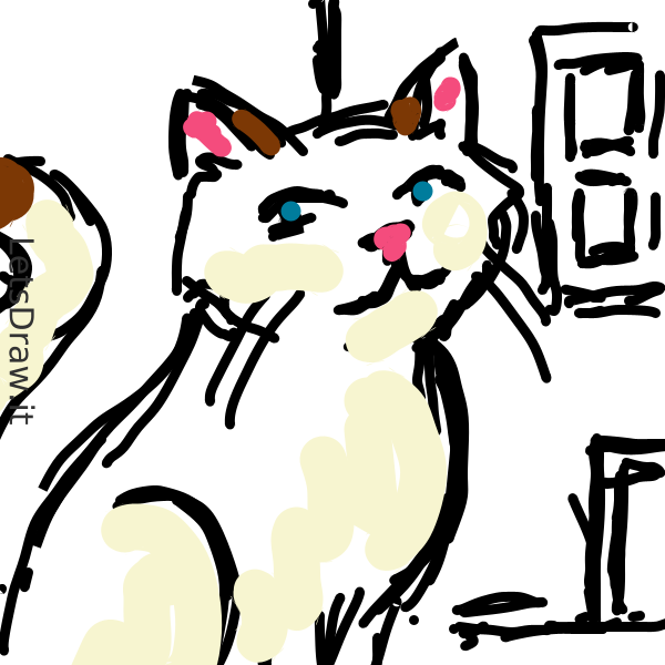 How to draw cat / dak1tr83d.png / LetsDrawIt