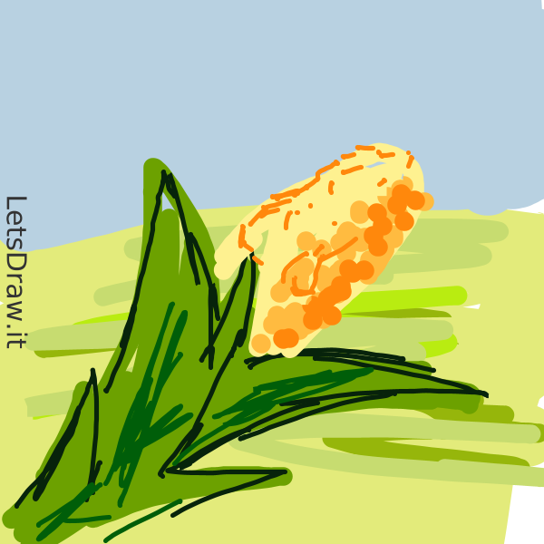 How to draw corn / dbcs85t4y.png / LetsDrawIt