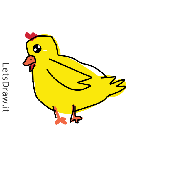 How to draw hen / df4ddd5to.png / LetsDrawIt