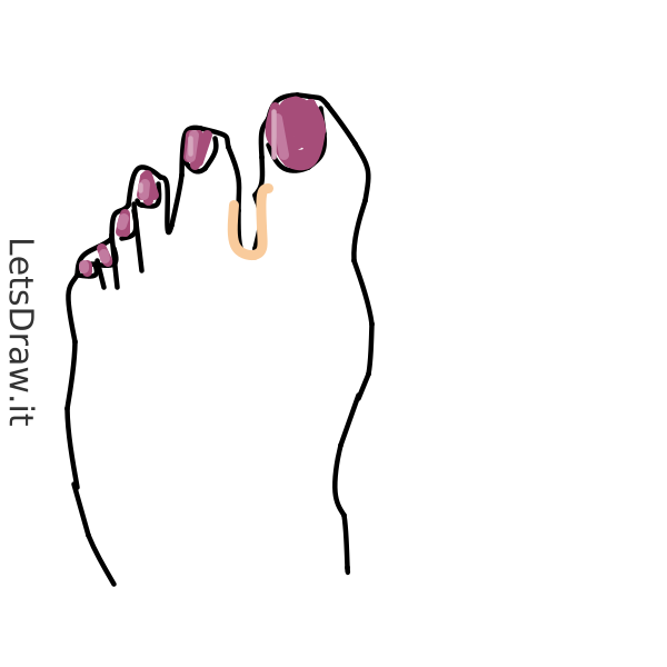 How to draw toenail / dgcpfs883.png / LetsDrawIt