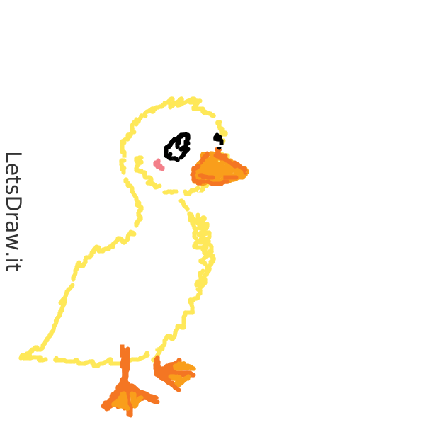 How to draw animal / dnfyodysz.png / LetsDrawIt