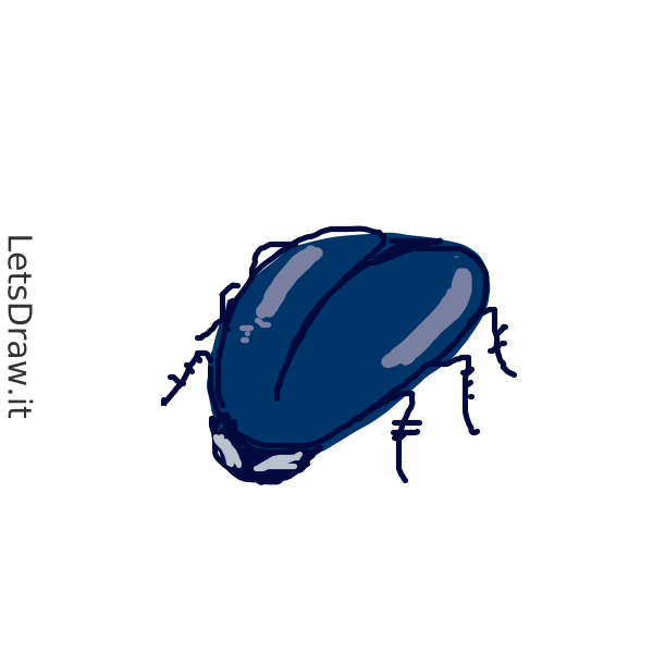 How to draw beatle / LetsDrawIt