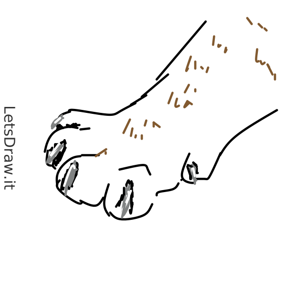 How to draw claw / dtkhdifms.png / LetsDrawIt