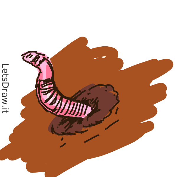 How to draw earthworm / dtqceeaxw.png / LetsDrawIt
