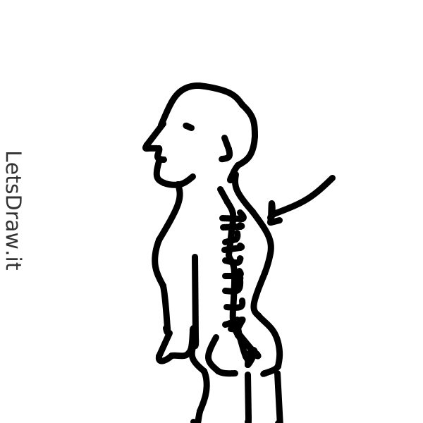 How to draw spine / dtyfmer8.png / LetsDrawIt