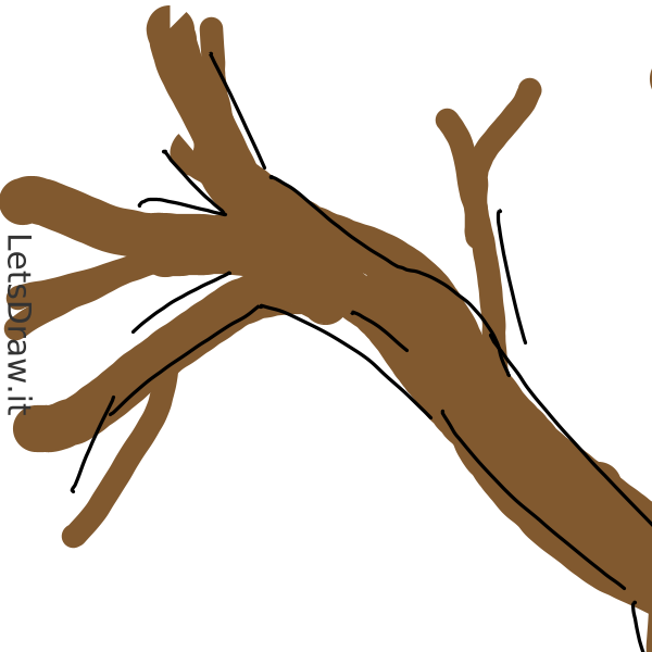 How to draw branch / dx3jmee4k.png / LetsDrawIt