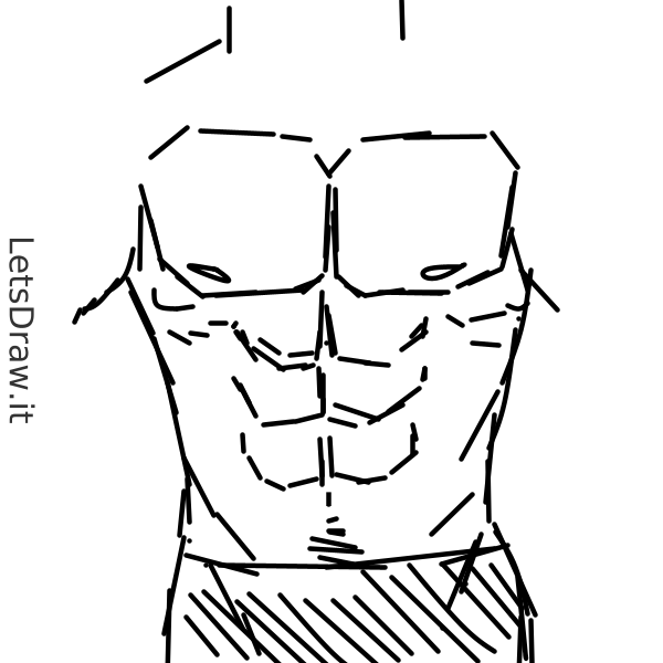 How to draw muscle / dzt3bp9j4.png / LetsDrawIt