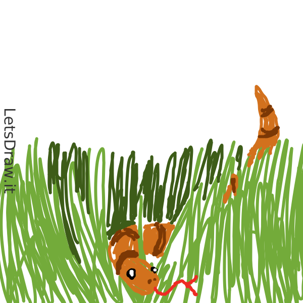 How to draw grass snake / e1yjowg81.png / LetsDrawIt