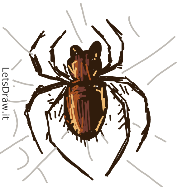 How to draw spider / e4bde7p1n.png / LetsDrawIt