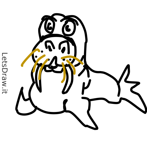 How to draw walrus / e4dfcsbbd.png / LetsDrawIt
