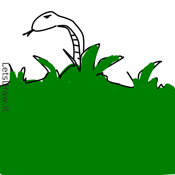 How to draw grass snake / e6a5daj1t.png / LetsDrawIt