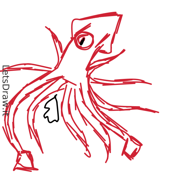 How to draw squid / e7irdm6ey.png / LetsDrawIt