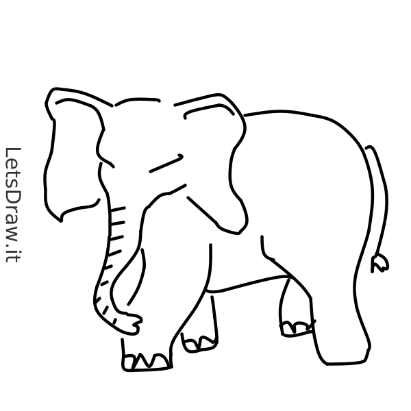 How to draw elephant / ecqg35bf.png / LetsDrawIt