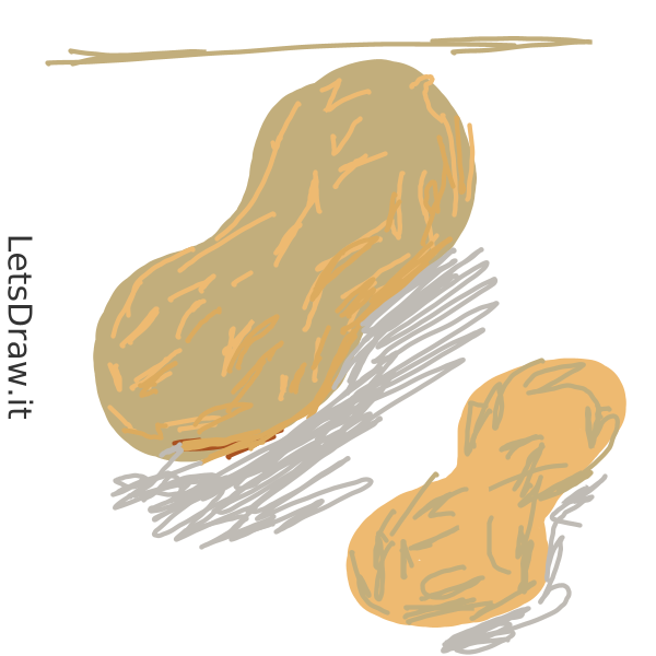 How to draw peanuts / ee71mjkau.png / LetsDrawIt