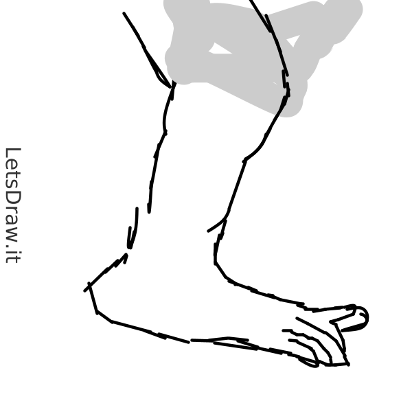 How to draw ankle / effhpjkxe.png / LetsDrawIt