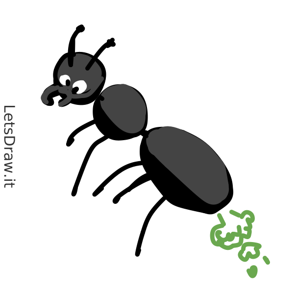 mier tekenen / LetsDrawIt